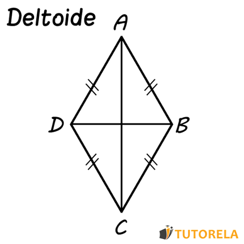 Deltoide | Tutorela