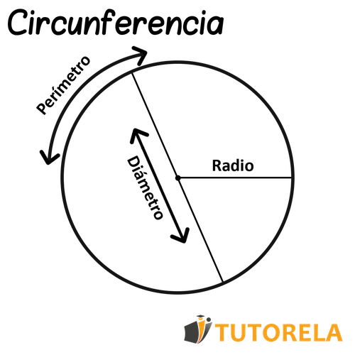 Elementos de la circunferencia | Tutorela